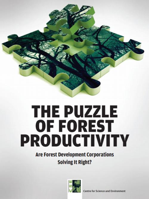 The Puzzle of Forest Productivity