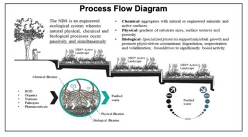 Natural Biological System (NBS)™ Technology