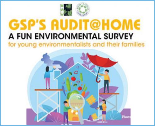 GSP Audit@Home: An online environmental survey for households
