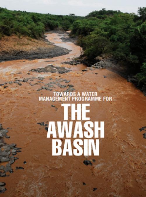 The Awash Basin