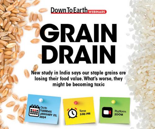 Grain Drain
