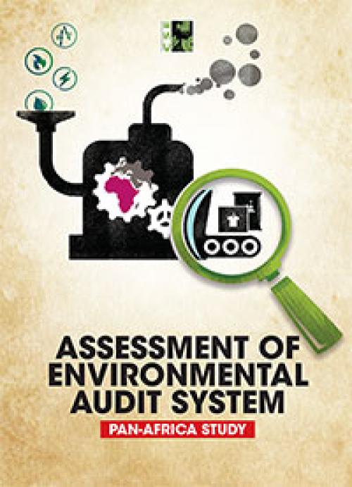Assessment of environmental audit system - PAN-AFRICA STUDY