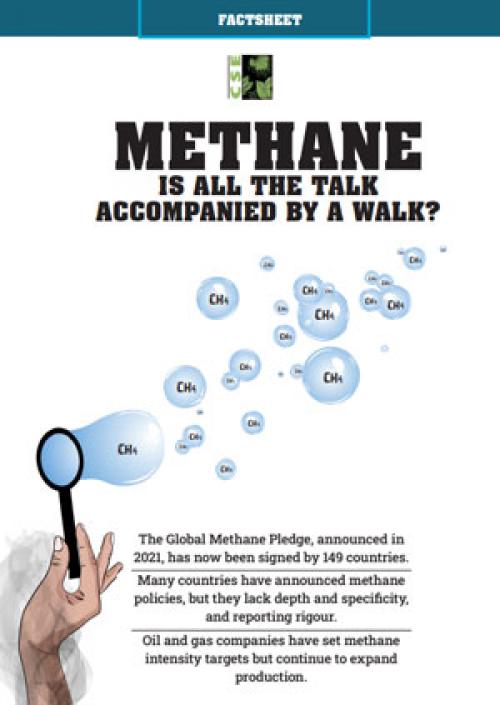 Methane: Is all the Talk Accompanied by a Walk?