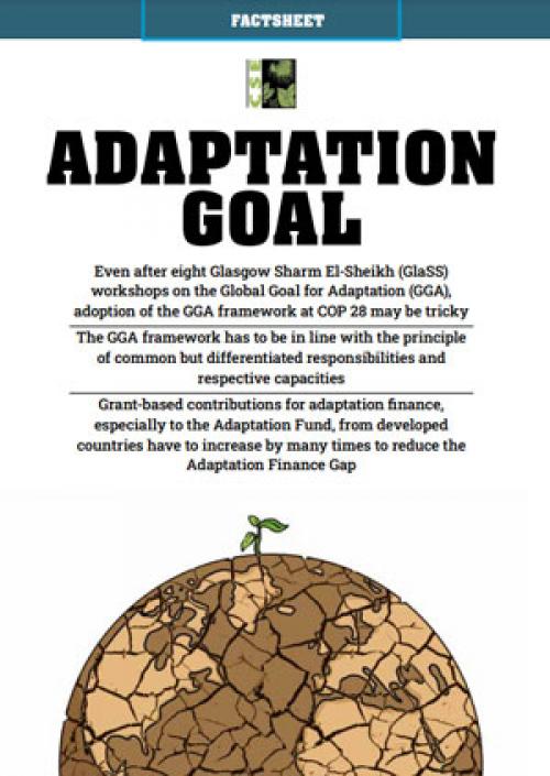 Adaptation Goal