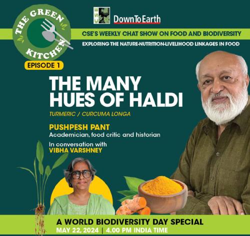 The Many Hues of Haldi