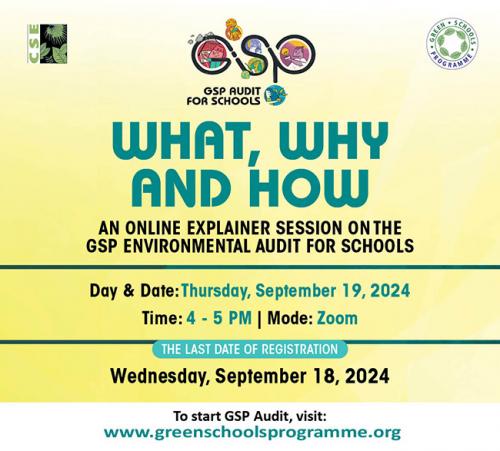 Getting Started with GSP Audit 2024: The What, Why and How