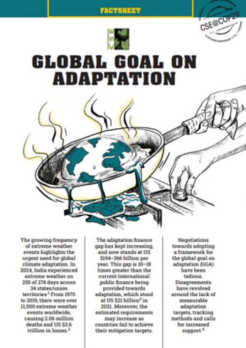 Global Goal on Adaptation