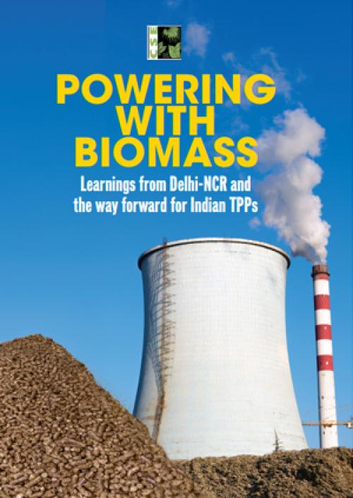 Powering with Biomass: Learnings from Delhi-NCR and the way forward for ...